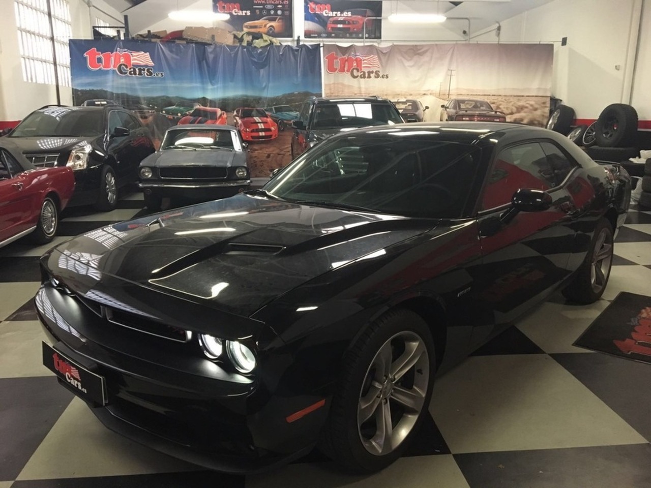 Used Dodge Challenger cars Spain